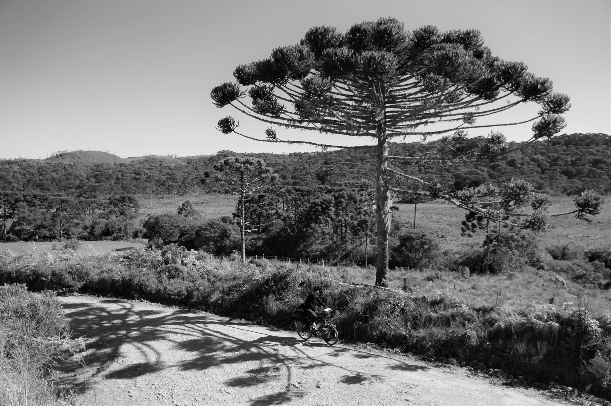 Cold wave in the land of samba | Explore Togeth'Earth