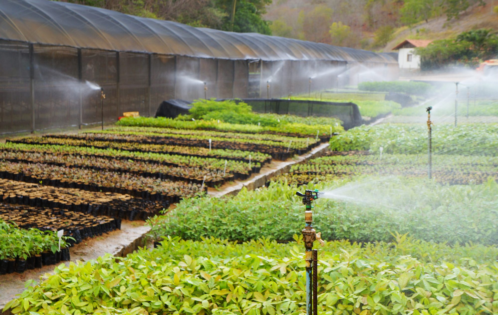 Instituto Terra | Explore Togeth'Earth
